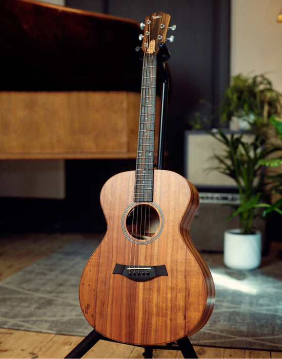 Jacob Collier US – Co-Labs Taylor Guitars